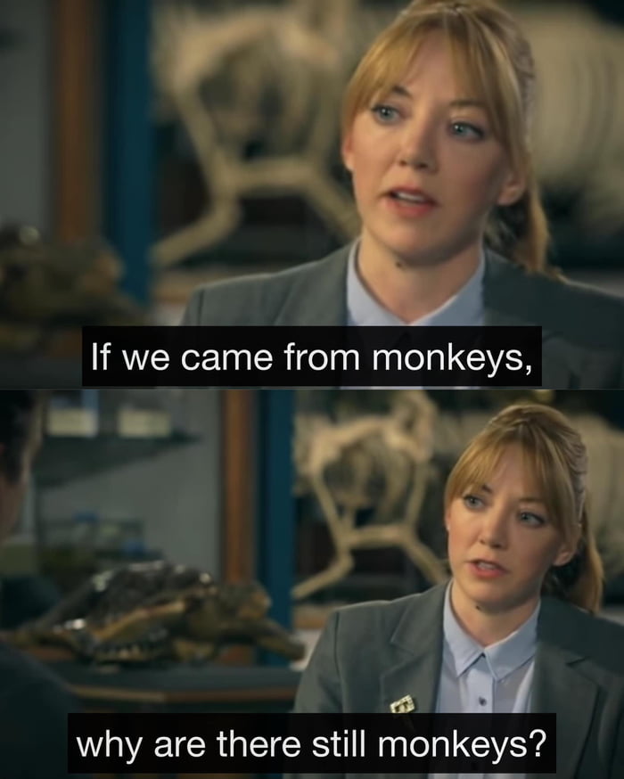Mybe they choose to be monkey - 9GAG