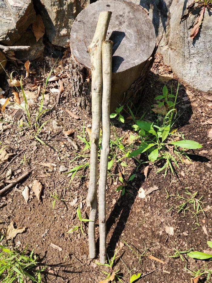 Just showing off some quality sticks - 9GAG