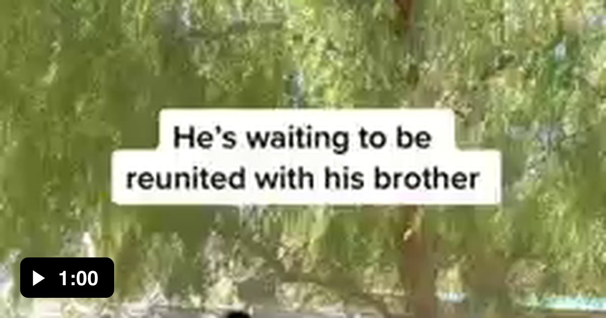 Get back in there, tear! - 9GAG