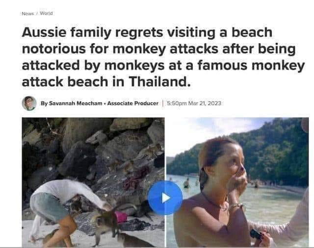 Now I wonder if the monkeys attacked - 9GAG