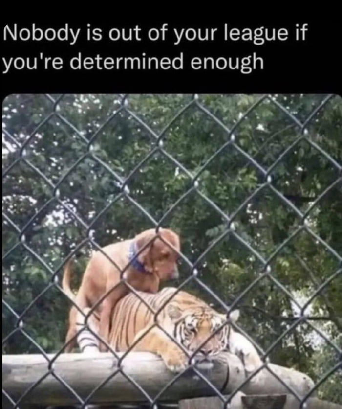 It's all about confidence - 9GAG