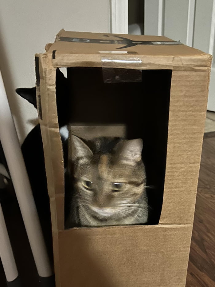 One biscuit coming up! - 9GAG