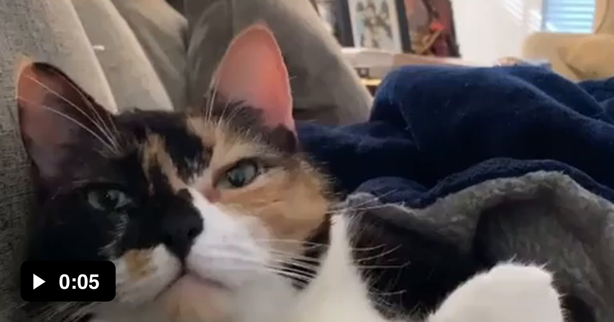 See ya on the flip side - 9GAG