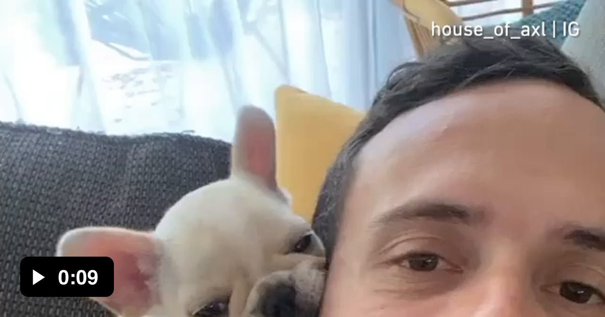 I need some cheek cuddles right now - 9GAG