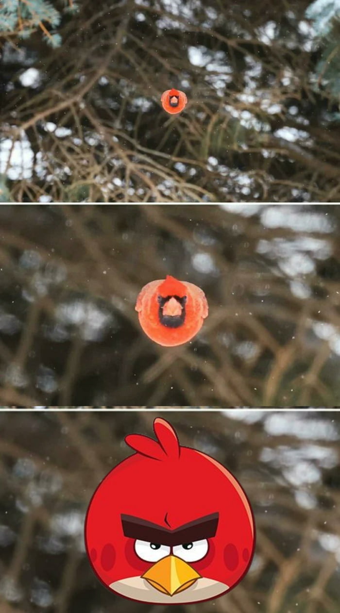 Angry - 9GAG