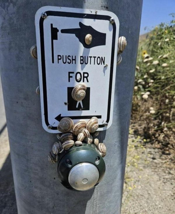 Are you brave enough to press the button? - 9GAG