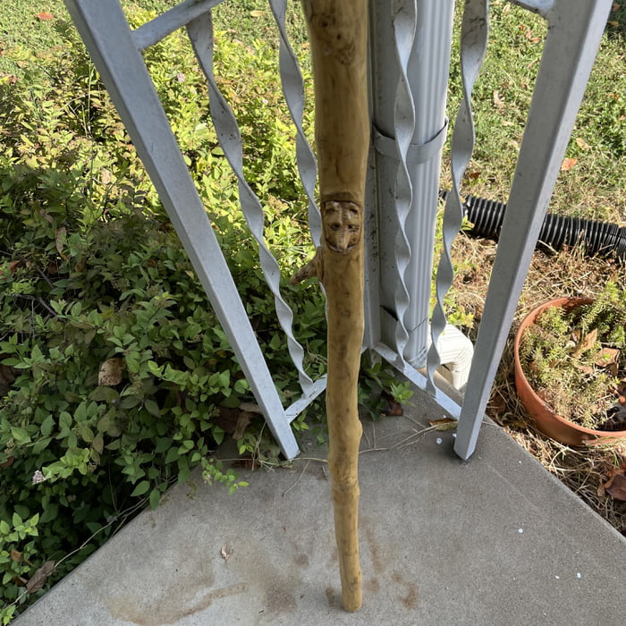 I present to you my stick. - 9GAG