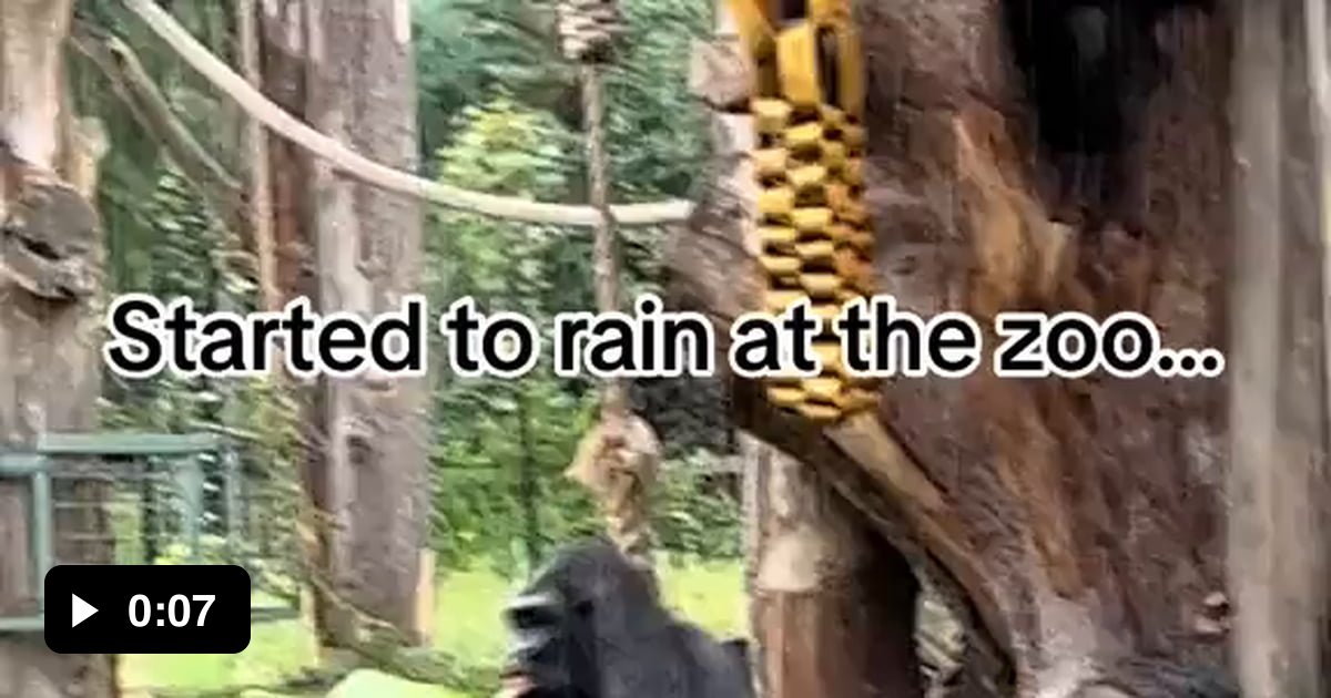 They are evolving - 9GAG