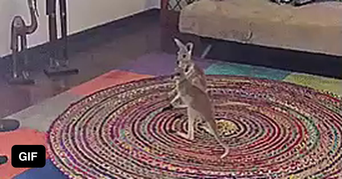 Beddy Bye Time - 9GAG