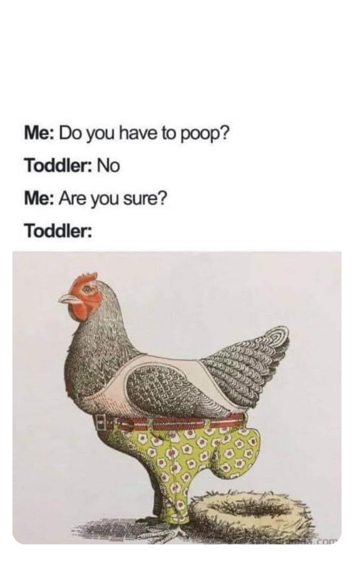 Potty training can be difficult sometimes - 9GAG