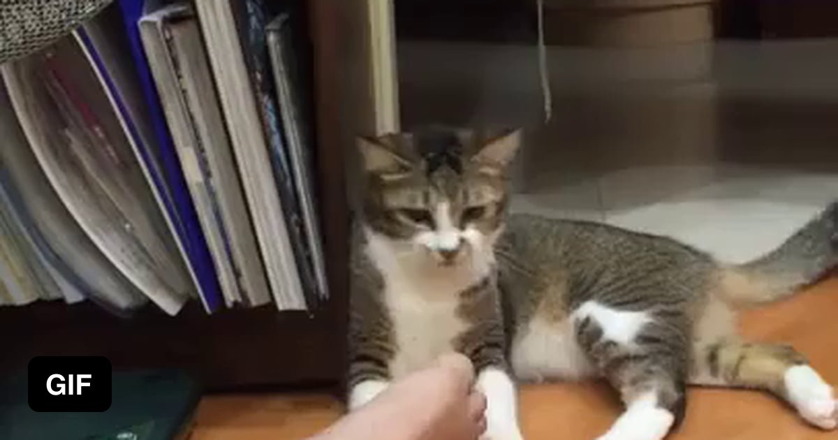 In utter shock! - 9GAG