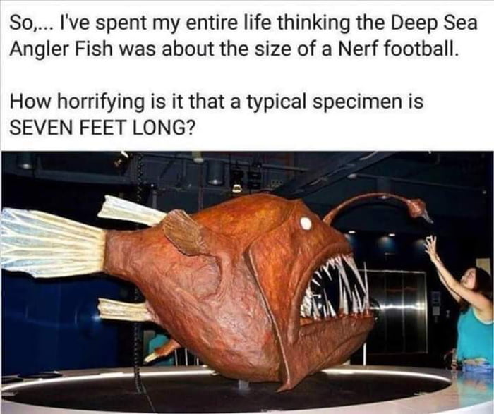 Deep sea Austria - 9GAG