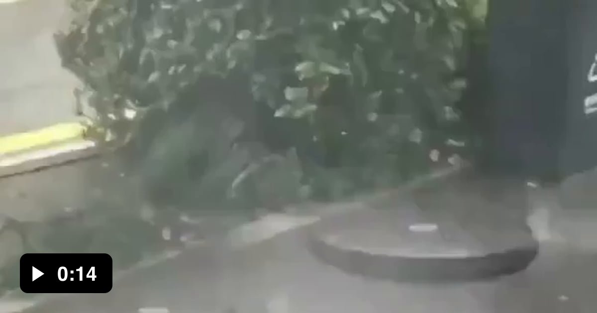 The rain and wind create that effects. - 9GAG