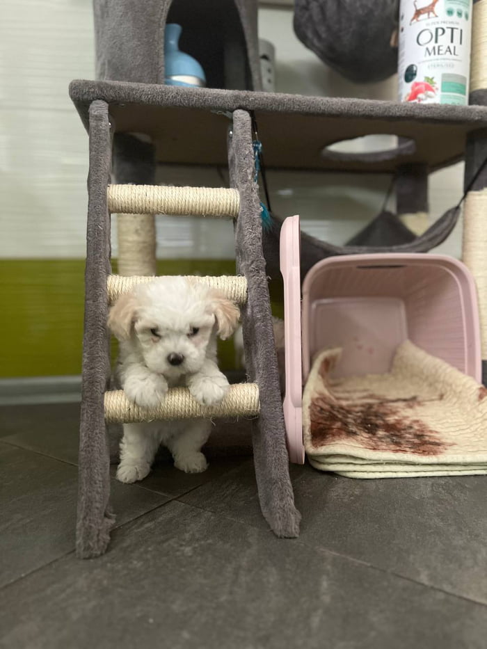 Time for training - 9GAG