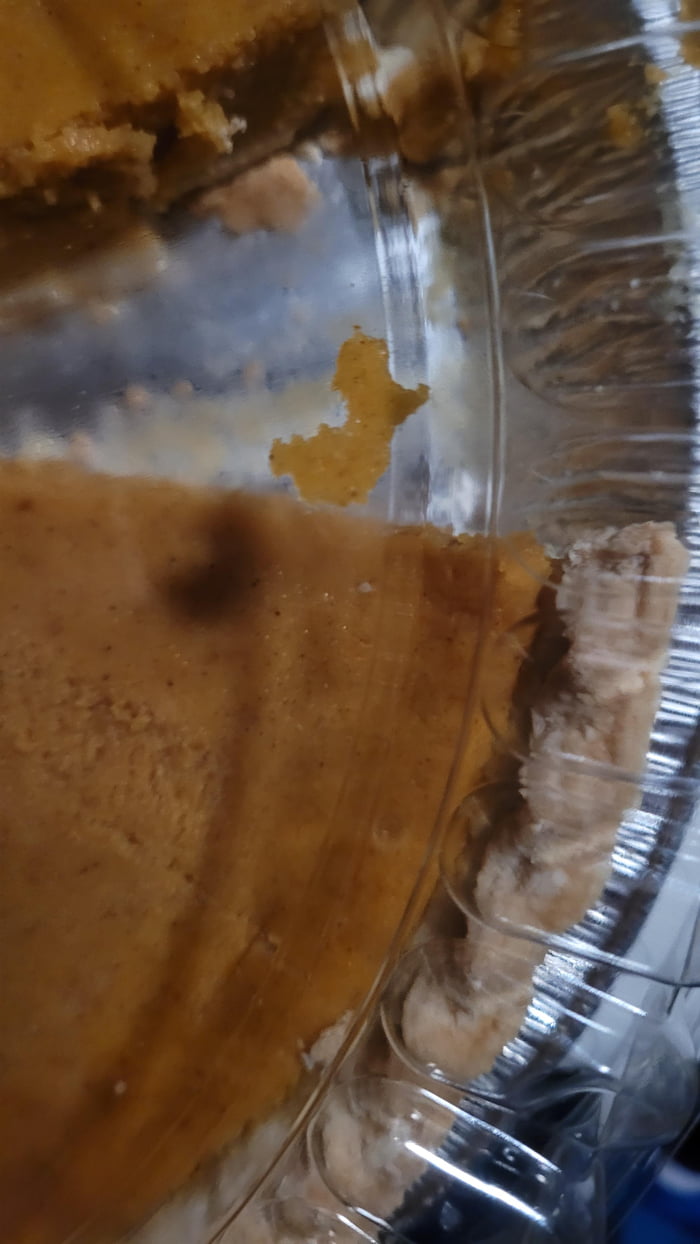 Duck or ill throw this pie - 9GAG