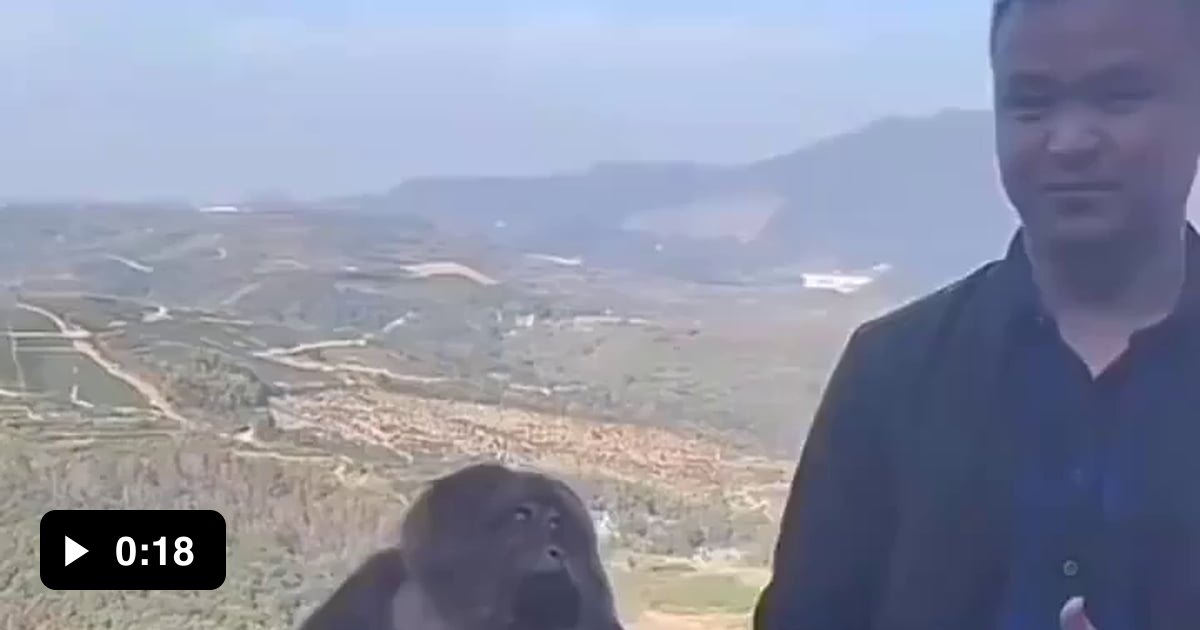 Monke die inside - 9GAG