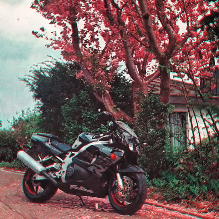 97 Fireblade and Cherry Blossoms ^^ - 9GAG