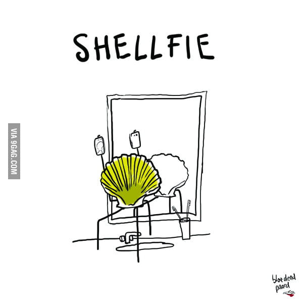 Shellfie - 9GAG