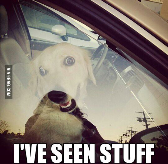 He've heard things, and seen stuff. - 9GAG