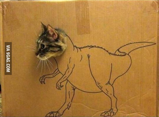 Catasaurus Rex - 9GAG