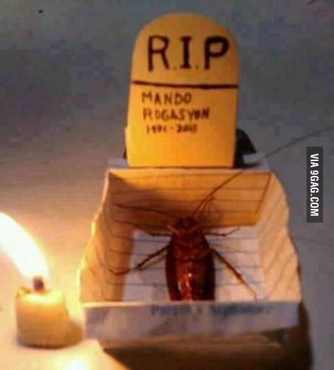 Rest in peace cockroach! - 9GAG