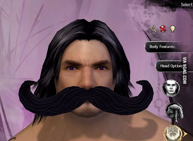 Moustache level: Guild Wars 2 - 9GAG