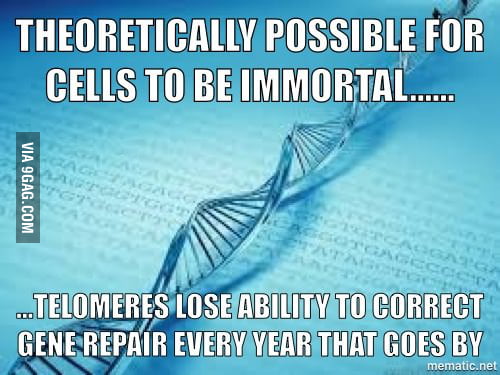 Scumbag DNA - 9GAG