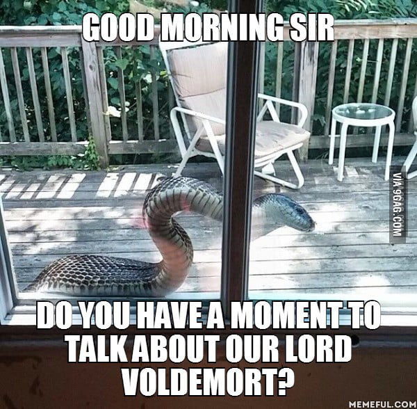 Good morning sir. do you have a moment to talk about our Lord Voldemort ...