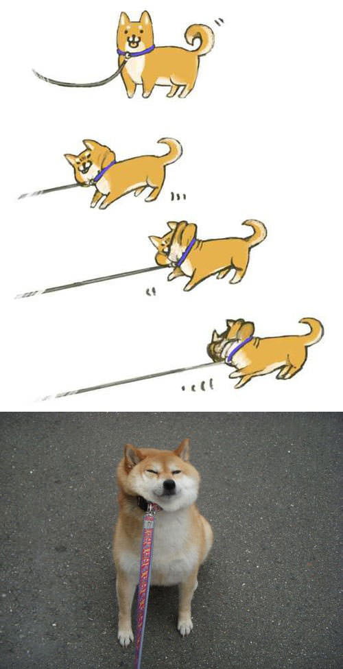 Wow such pull very tug many face smoosh - 9GAG