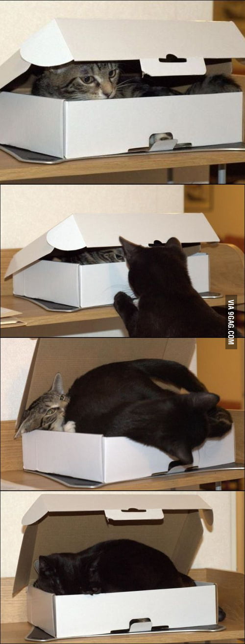 Dis is mine now. - 9GAG