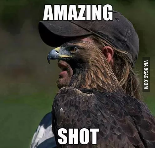 Great shot - 9GAG