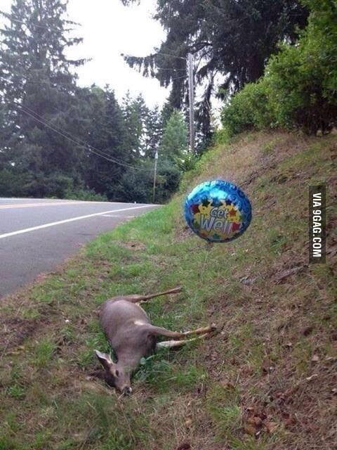 Get well soon deer! - 9GAG