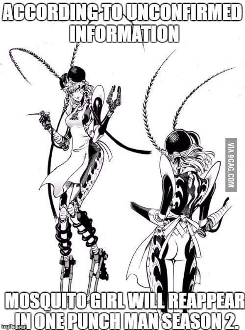 Insect waifu best waifu. - 9GAG