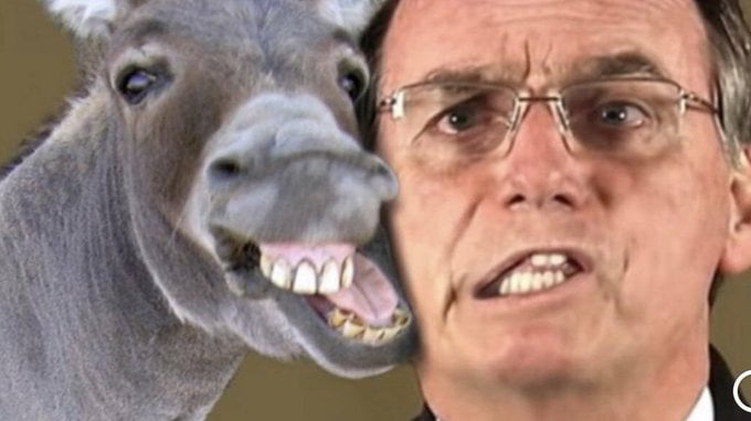Não confundir : Bolsonaro / Burro - 9GAG