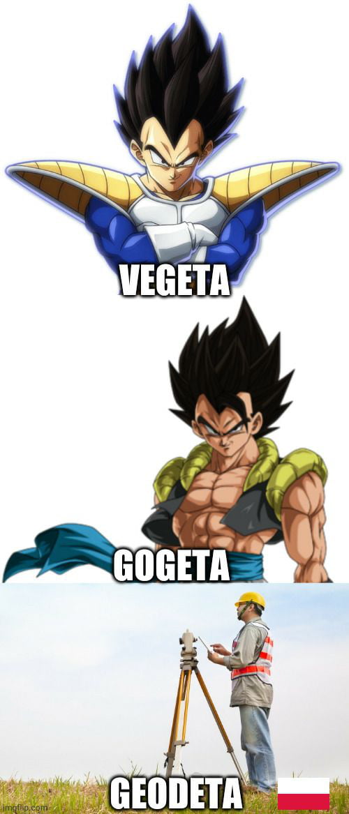 This building plot area is over 9000 square meters! - 9GAG