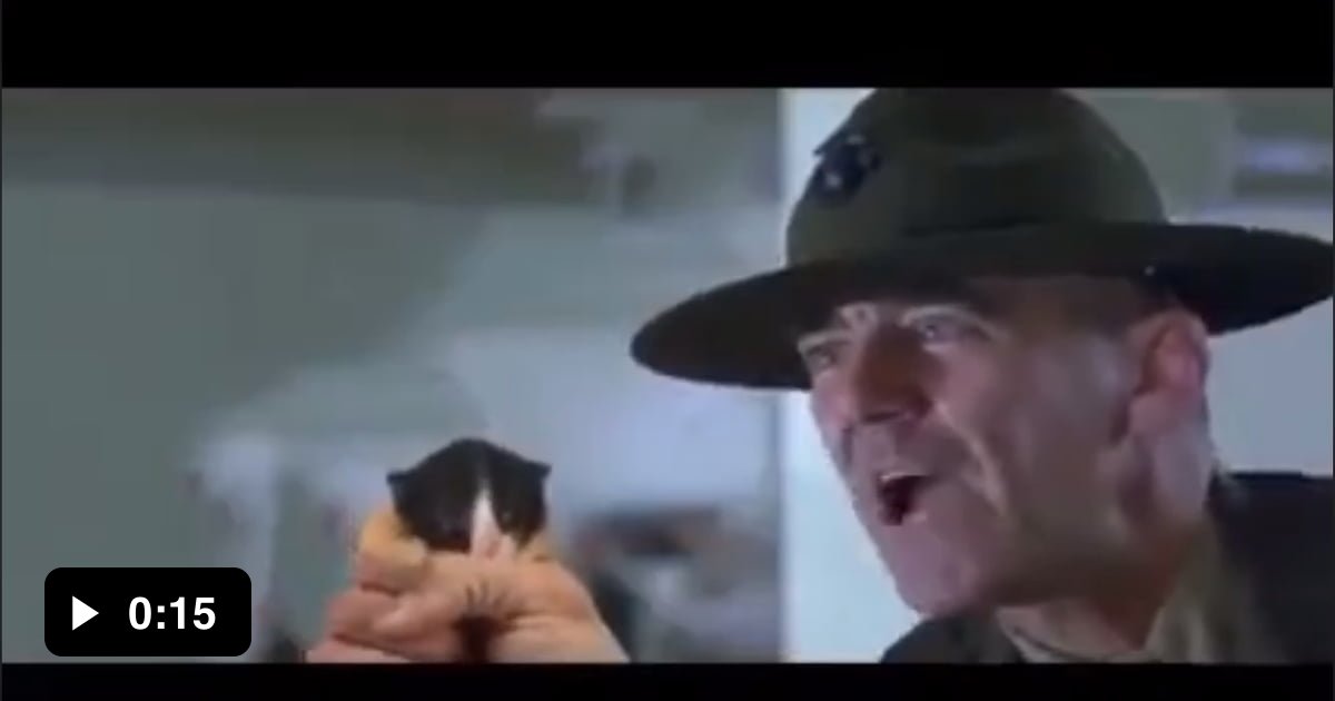 Full metal kitty - 9GAG