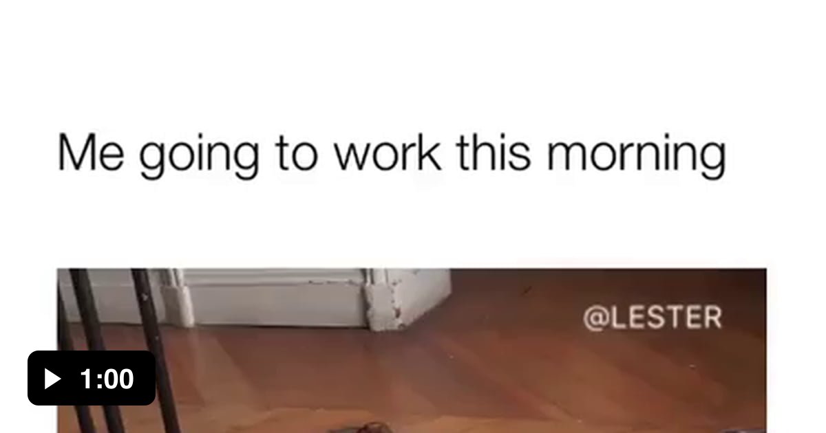 Me going back to office after the "work-from-home" is lifted - 9GAG
