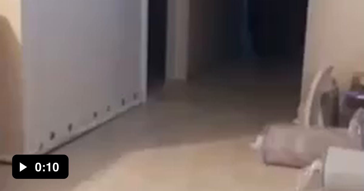 Get in. We goin touch da fishy! - 9GAG