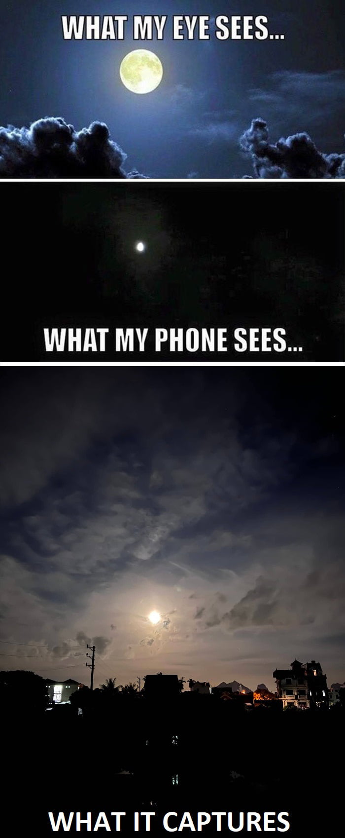 Does furry and full moon relate ? - 9GAG