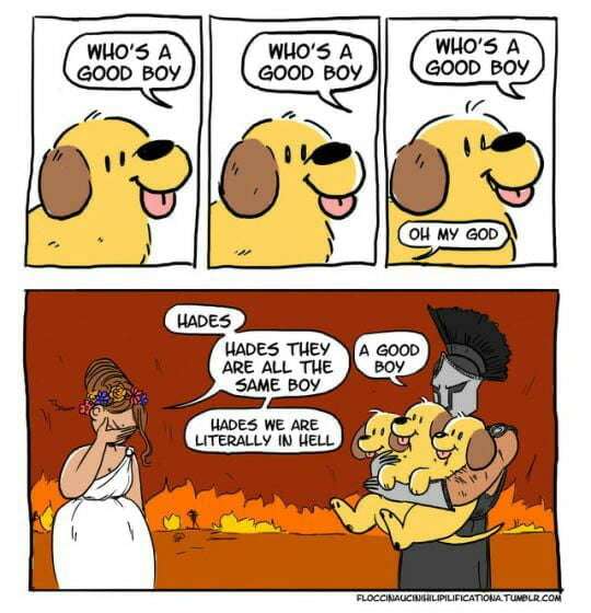 Good, Gooder and Goodest Boy - 9GAG