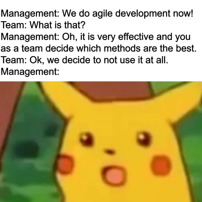 Me as a team leader struggling to introduce new fancy ideas from the management - 9GAG