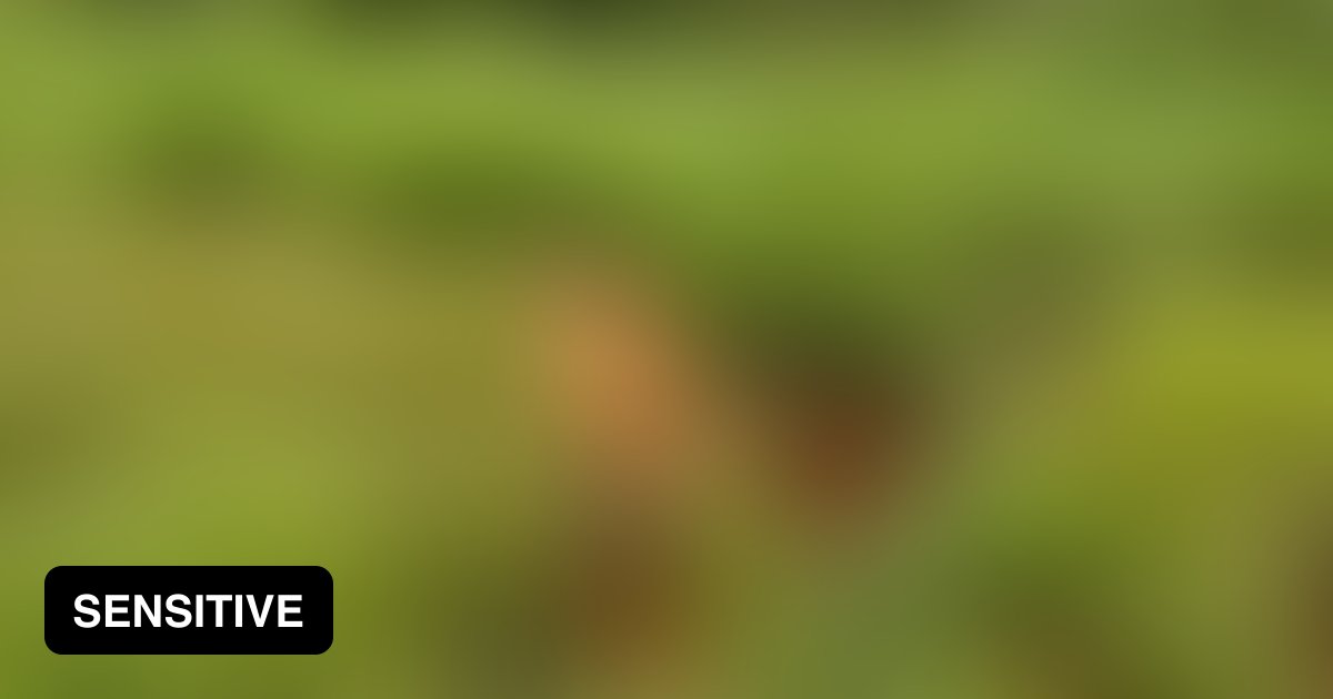 Tutorial : how to backflip - 9GAG