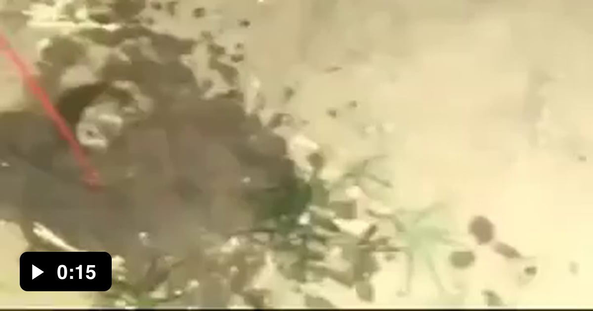 Capt. Roger Roach - 9GAG