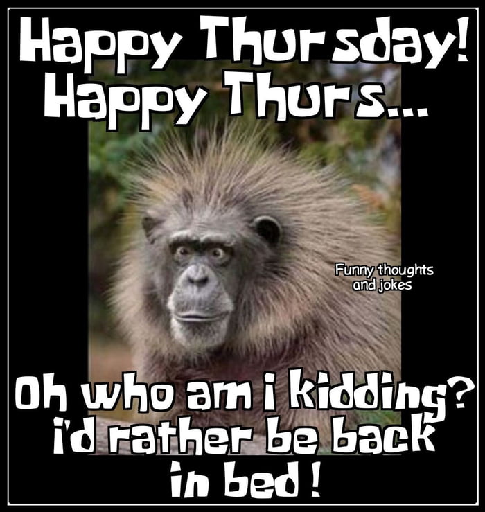 Thursday humor - 9GAG