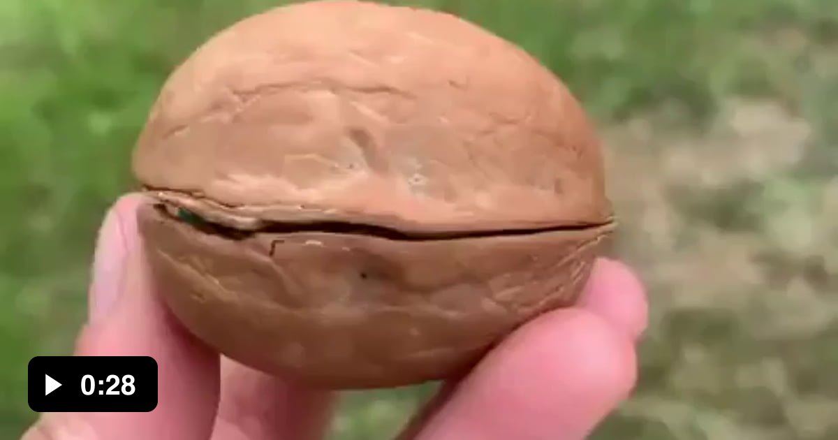 Python in a Nutshell - 9GAG