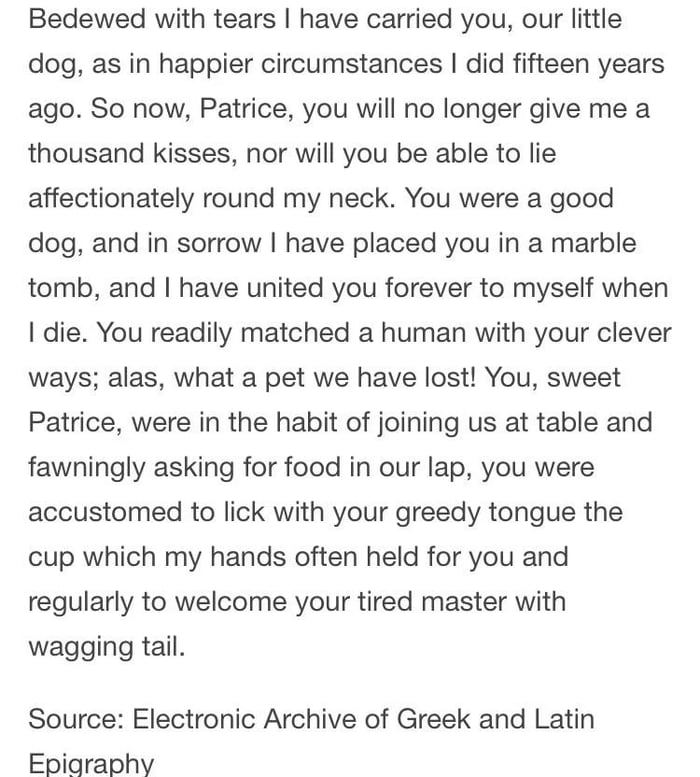 Ancient Roman Tomb Inscription For Lap Dog - 9GAG