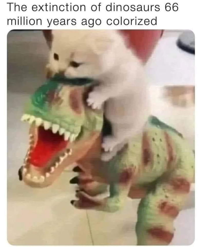 Last dinosaur seen alive (ca 65,998,000 B.C.) - 9GAG