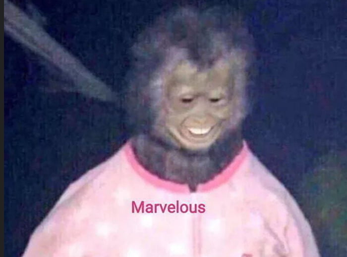 I request your best response memes 9gag! I have lost mine and need ...