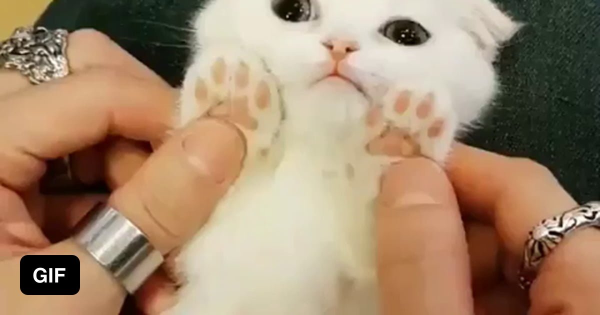 Oh my gawd those lil toe beanies! - 9GAG