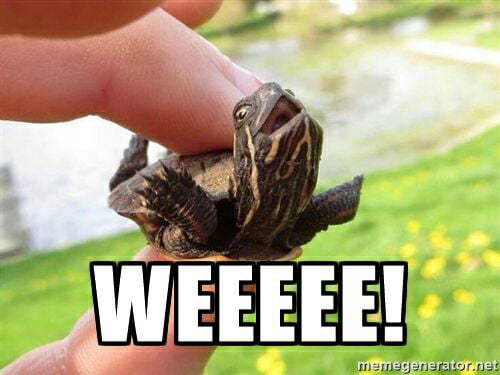 (WEEEEE!) WEEEEE! (WEEEEE!) - 9GAG